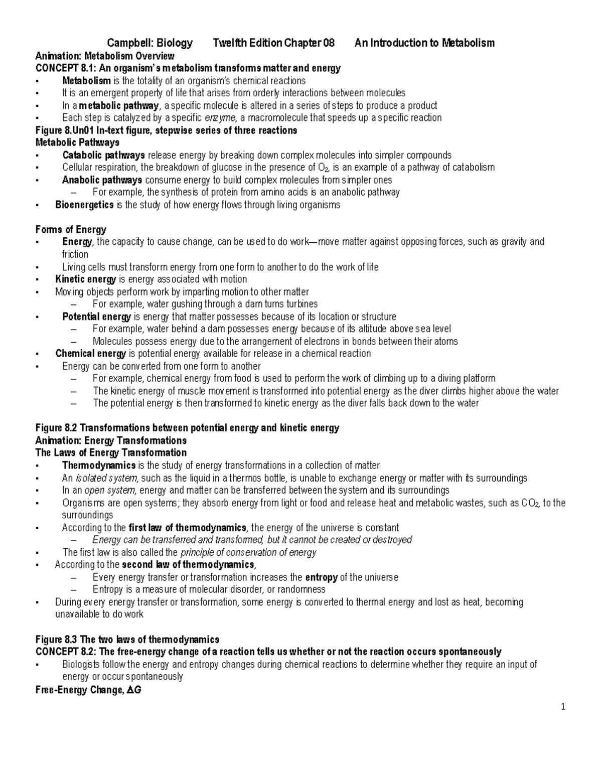 An Introduction to Metabolism in Biology - Studocu