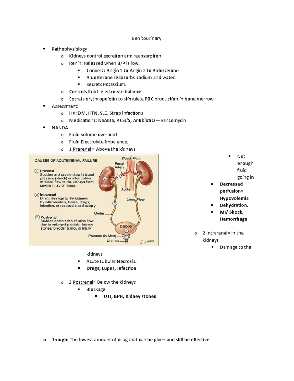 Genitourinary Notes - Nursing: Assessment, Intervention, Diagnosis, and ...