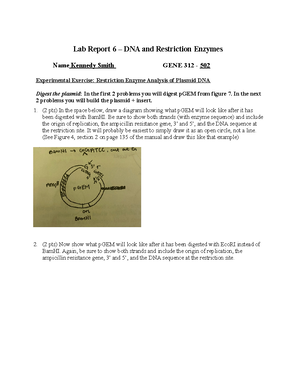 Lab Report 2 worksheets ol F22 312 - Lab Report 2 – Quantitative and ...
