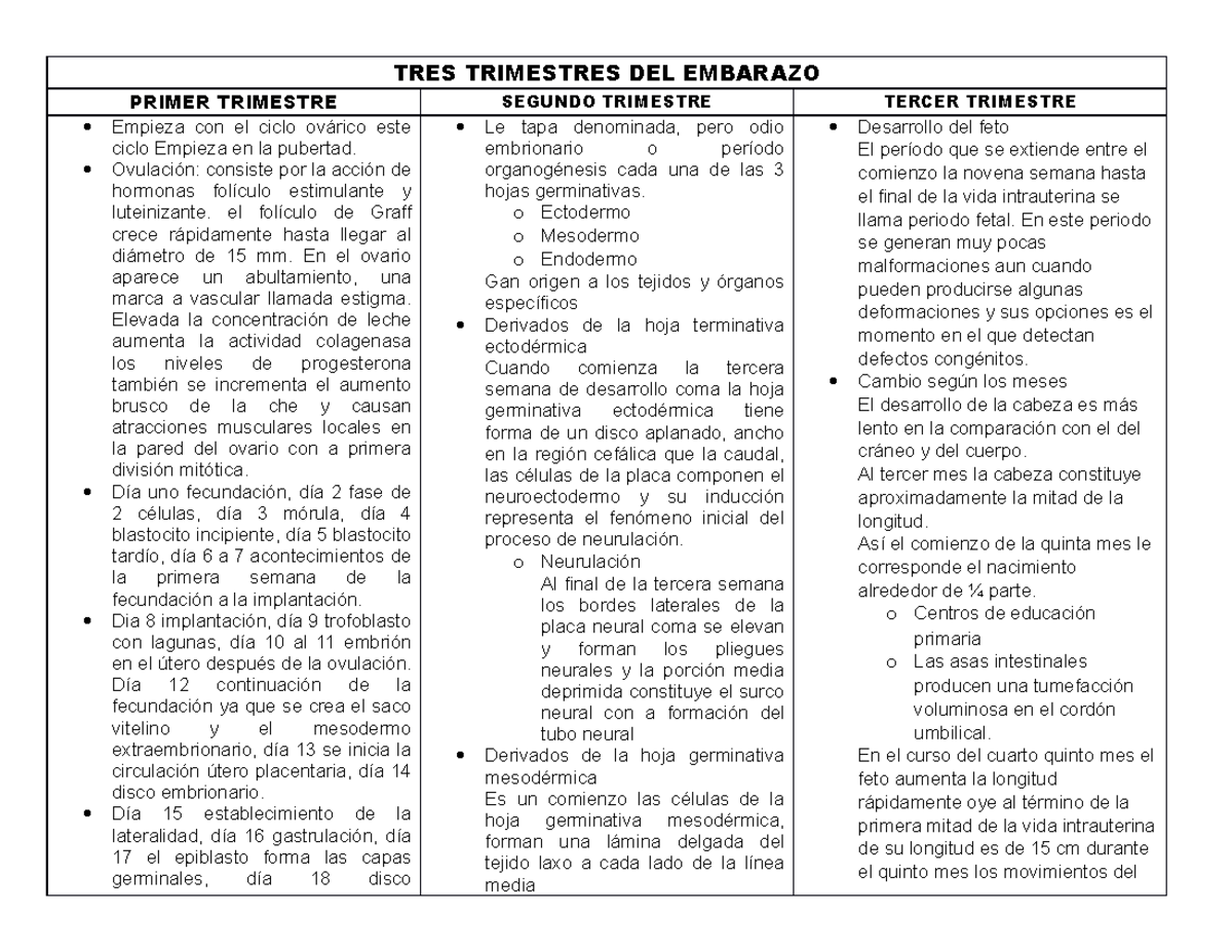 TRES Trimestres DEL Embarazo - TRES TRIMESTRES DEL EMBARAZO PRIMER ...