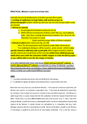 One pager brain memo - Studocu