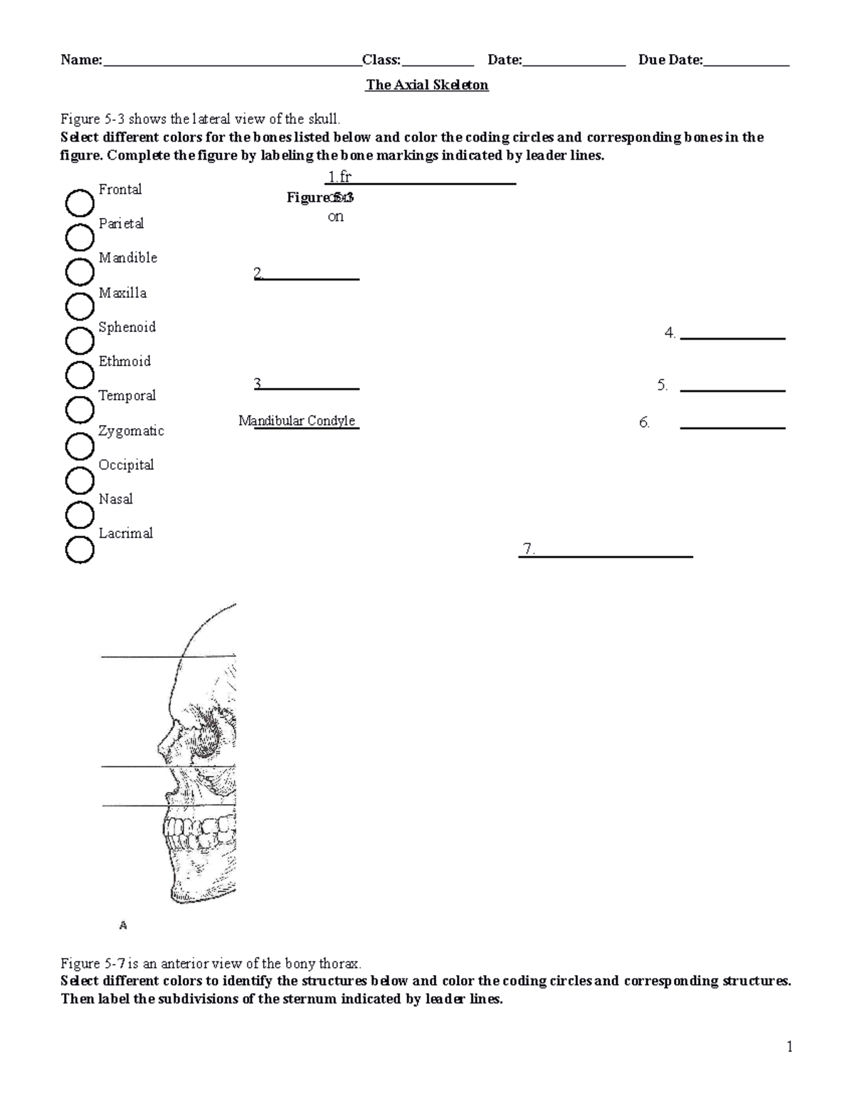 Axial skeleton labeling - The Axial Skeleton Figure 5-3 shows the ...