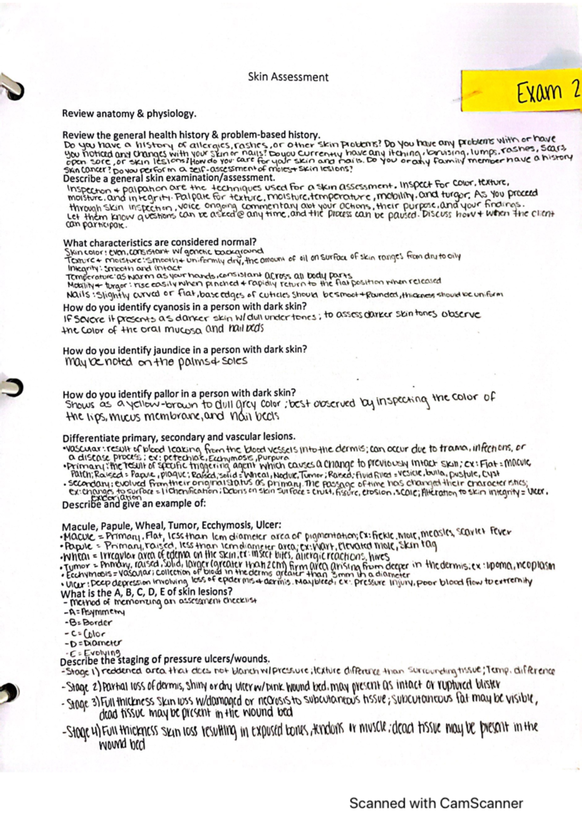 Nursing Skin Assessment - NURS 160 - Studocu