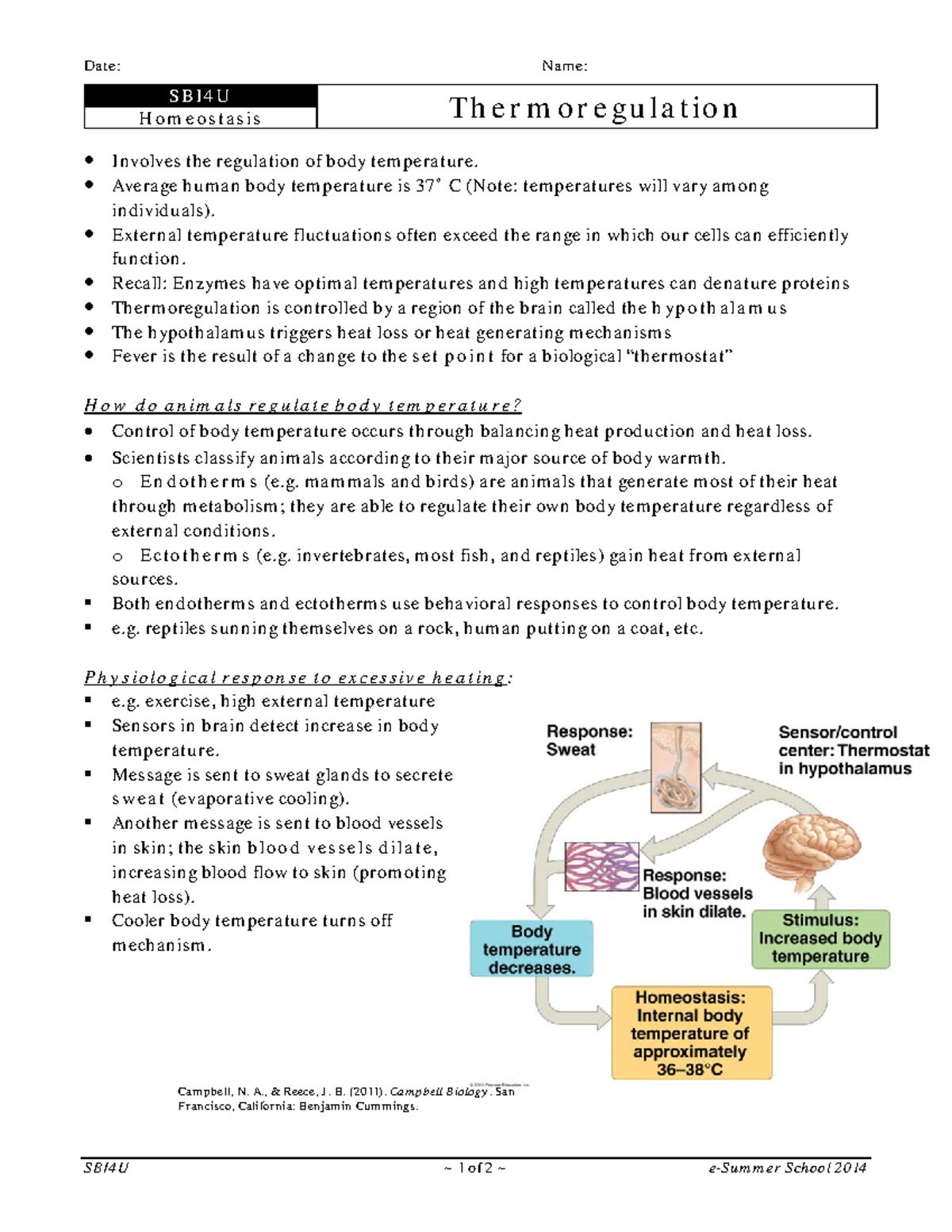 SBI4U - Unit E - Thermoregulation-2 - Date: Name: SBI4U ~ 1 of 2 ~ e ...