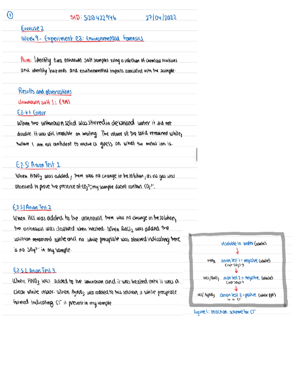 LAB 2 - Lab 2 cation and anion - CHEM1001 - Studocu