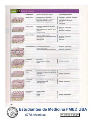 Práctica No. 1 - Histologia - Manual De Prácticas Introducción A La ...