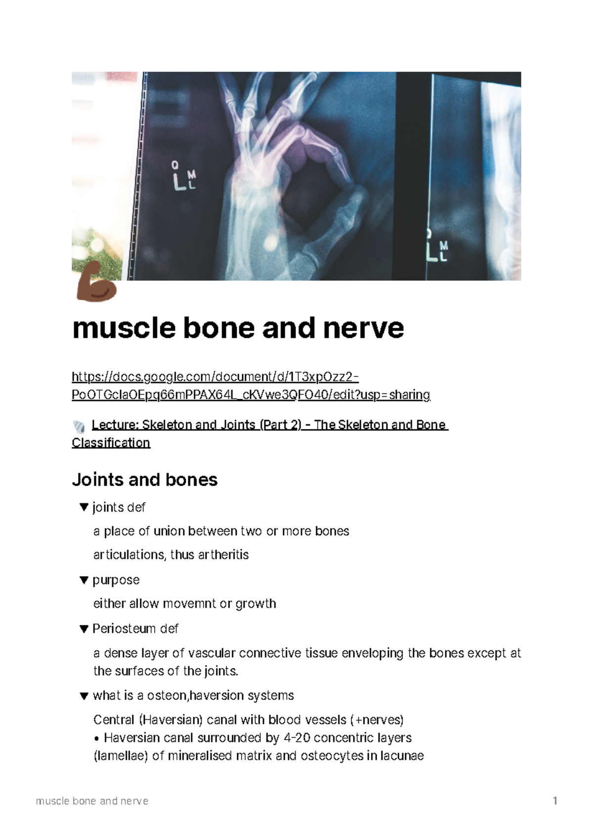 Muscle bone and nerve - lecture notes for anatomy, kings college london ...