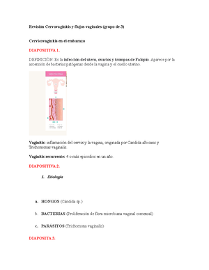 Documento GUIA PARA LA Estructura DE LA Revisión Narrativa - Elaborado ...
