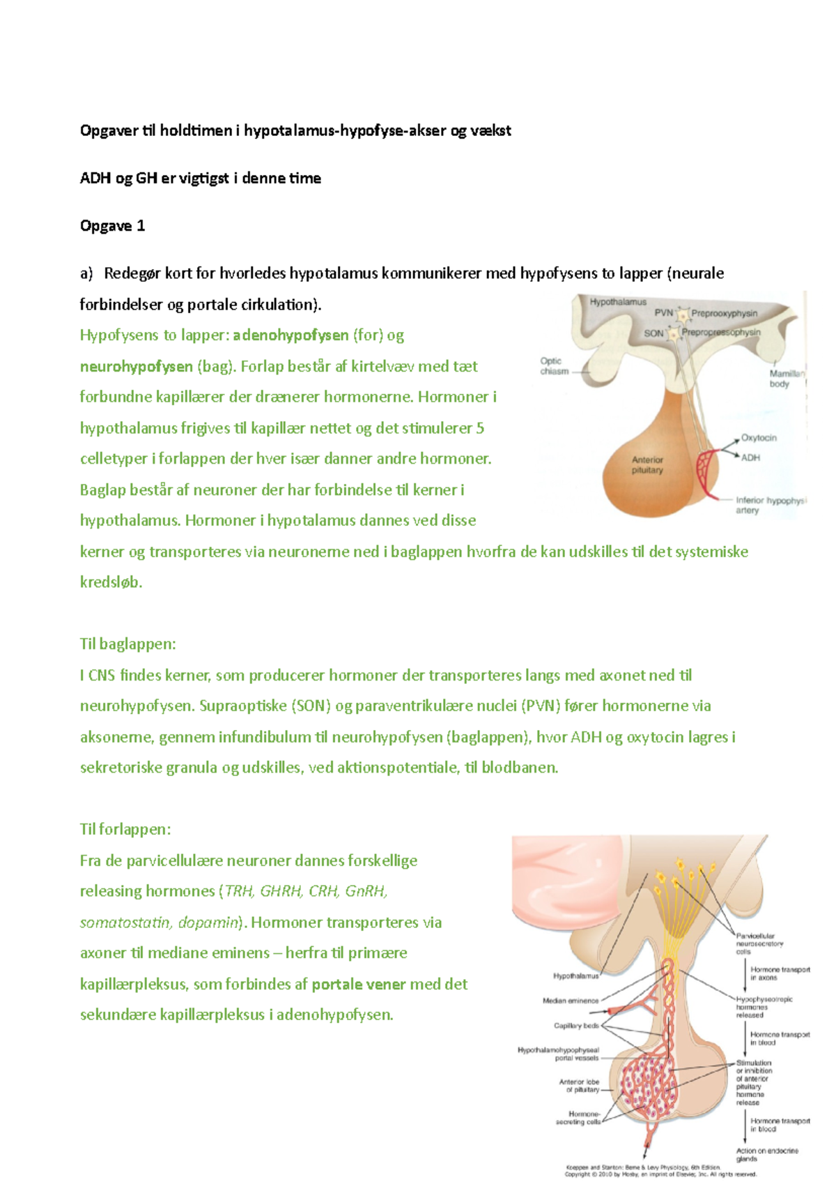 H1 Hypofyse og vækst - Opgaver til holdtimen i hypotalamus-hypofyse ...