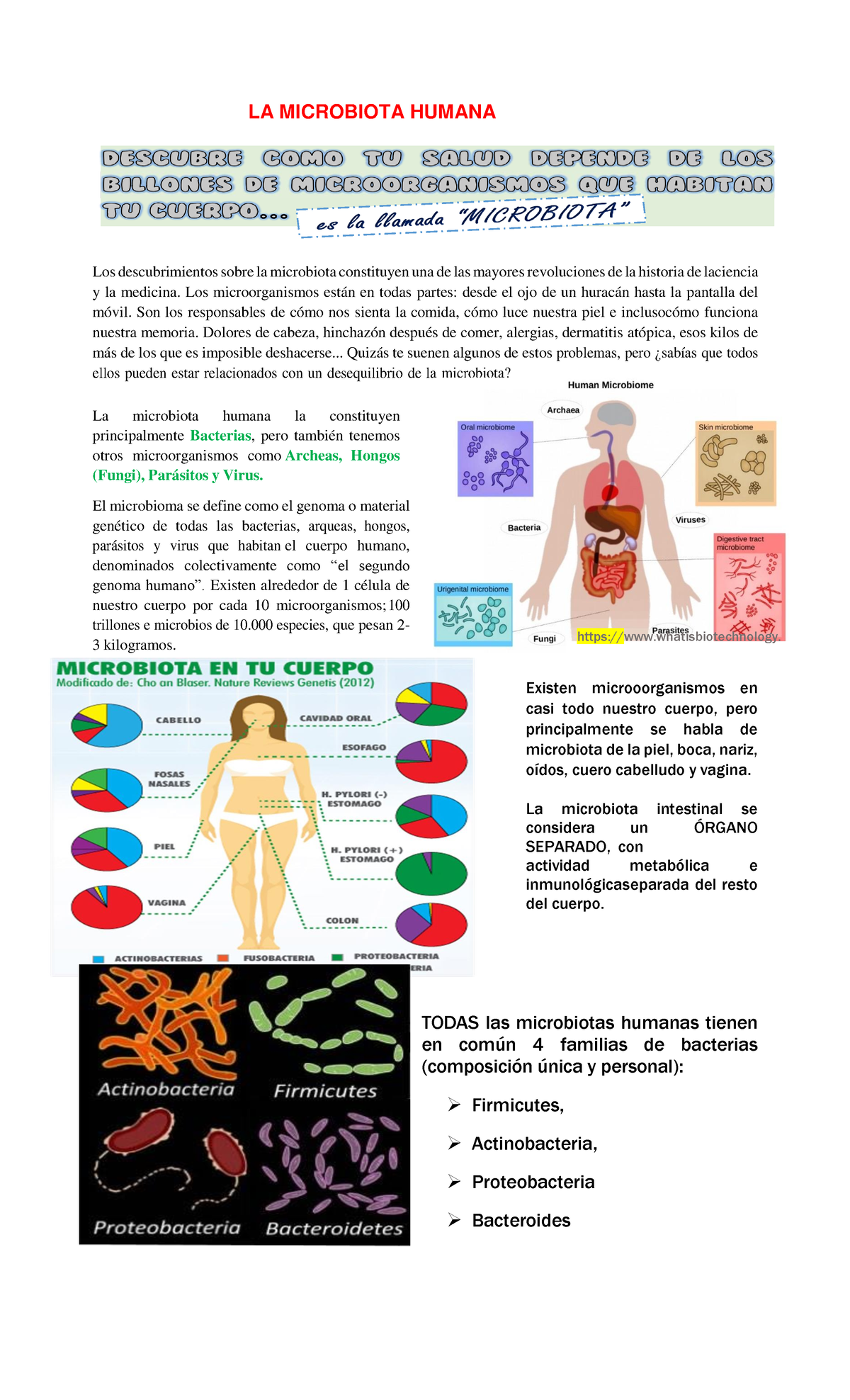 LA Microbiota Humana 1 - LA MICROBIOTA HUMANA Los descubrimientos sobre ...