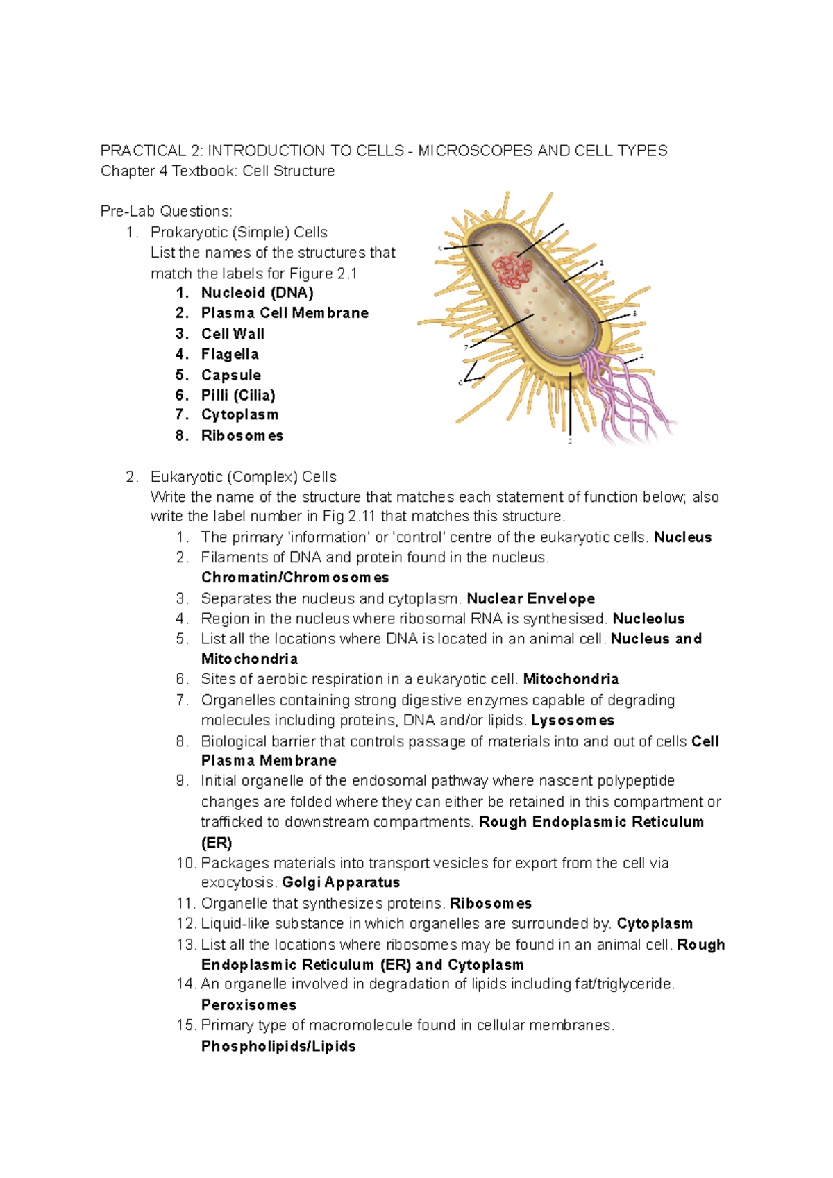 Practical Notes for Cell Biology 300816 - PRACTICAL 2: INTRODUCTION TO ...
