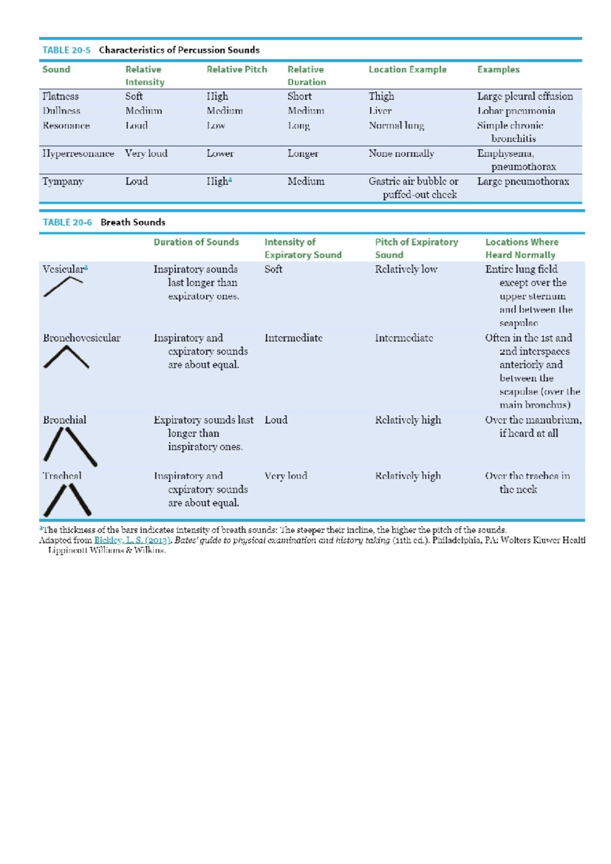 Lung sound - TABLE Characteristics of Percussion Sounds Sound Relative ...