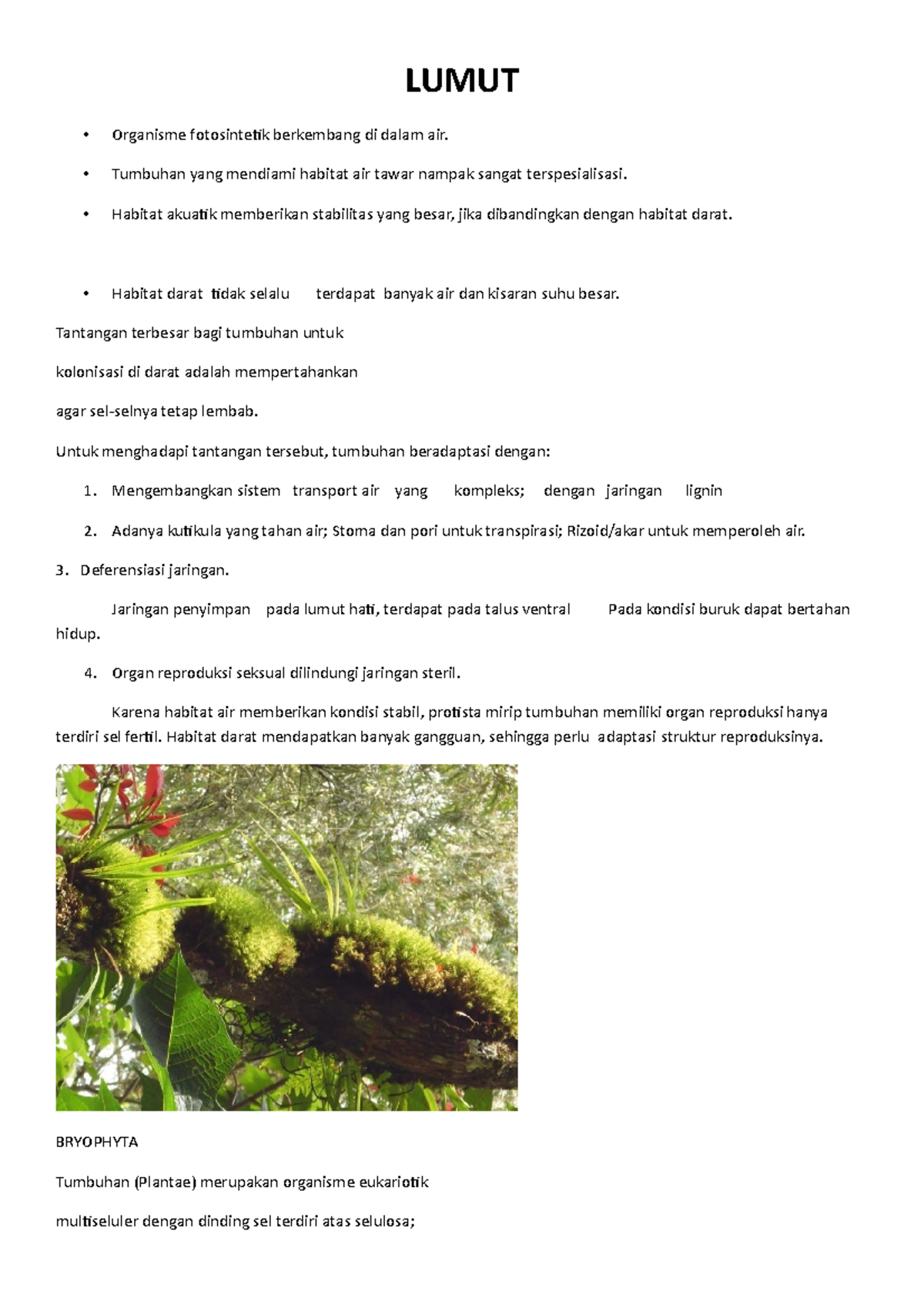 Lumut - LUMUT Organisme fotosintetik berkembang di dalam air. Tumbuhan ...