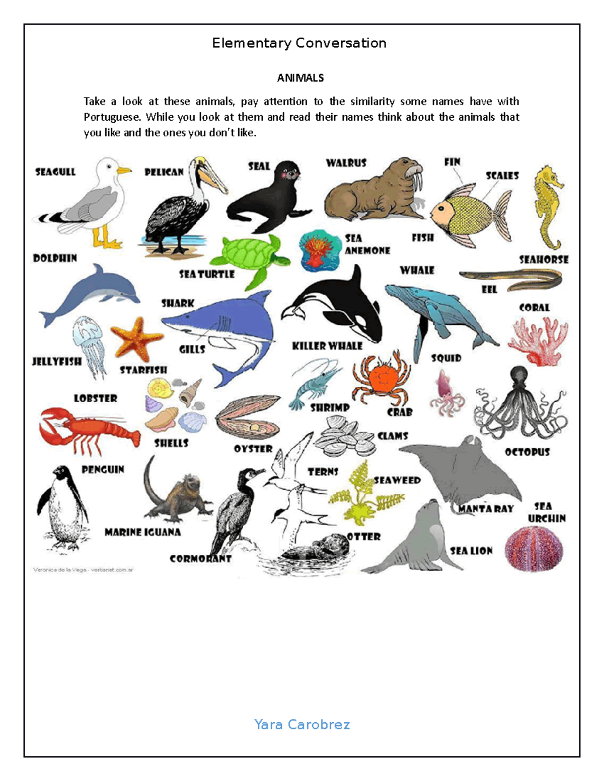 Verb-to-be-simple-present-animals-and-habitats-com-conversation-topics ...