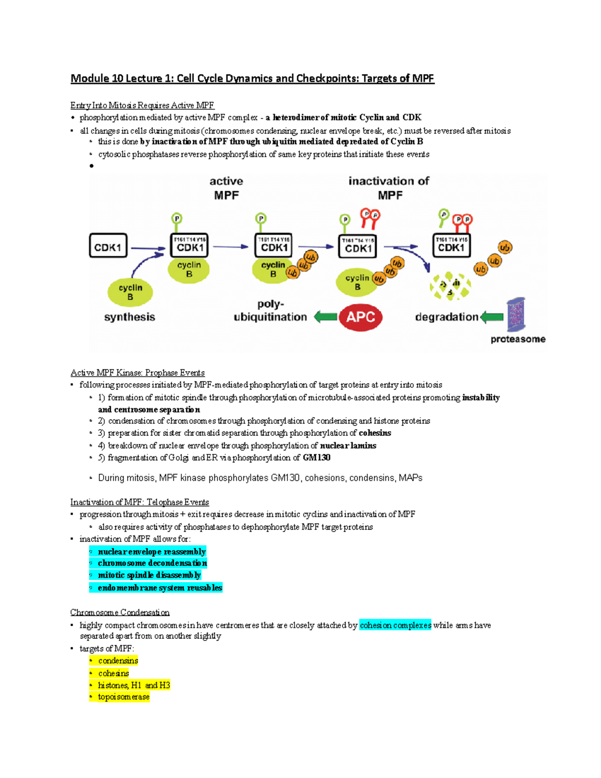 Module 10 Lecture 1 - Module 10 Lecture 1: Cell Cycle Dynamics and Checkpoints: Targets of MPF ...