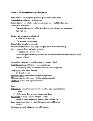 Eye Anatomy Notes - The Eye Sclera: white of eyes, (1st layer), muscle ...