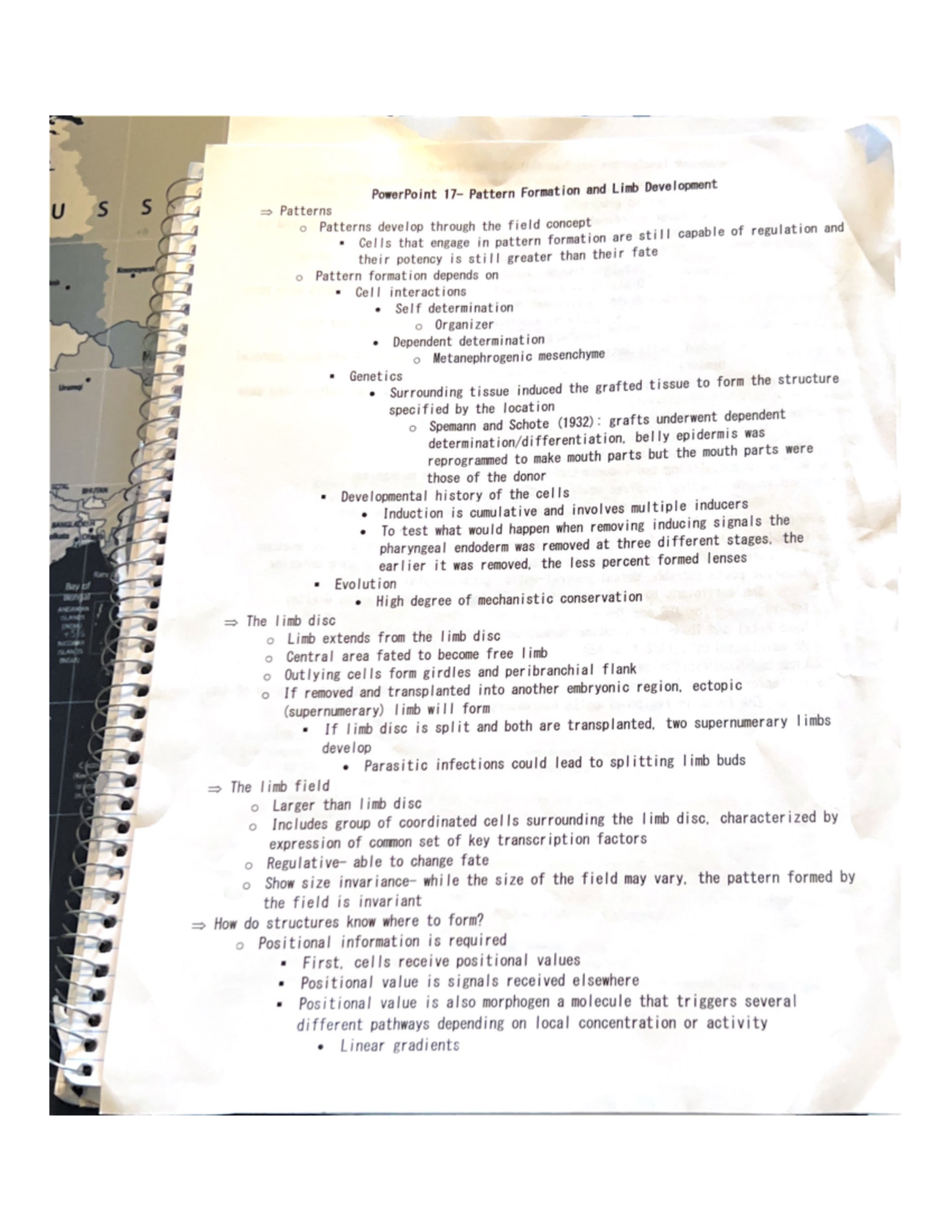 Power Point 17- Pattern Formation and Limb Development - BSC 2011 - Studocu