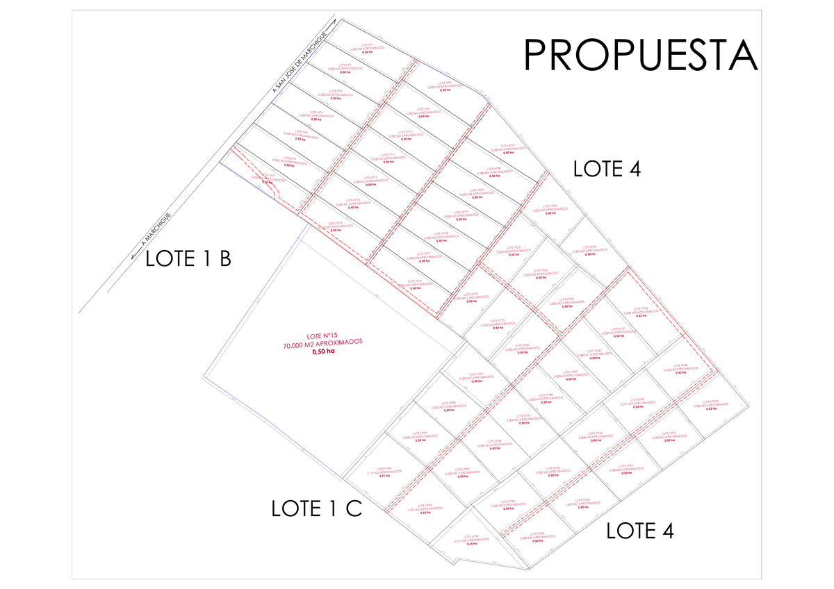Propuesta - planimetria subdivision - LOTE Nº 5 M2 APROXIMADOS 0,50 ha ...