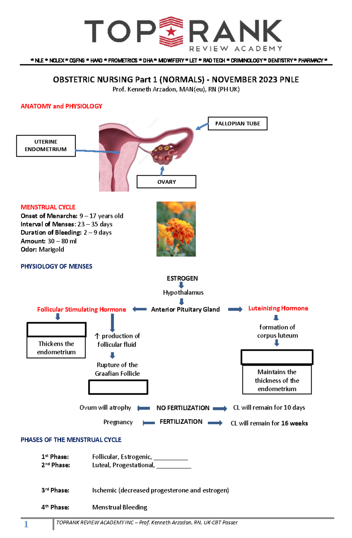 OB Handouts 1 - OBSTETRIC NURSING Part 1 (NORMALS) - NOVEMBER 2023 PNLE ...