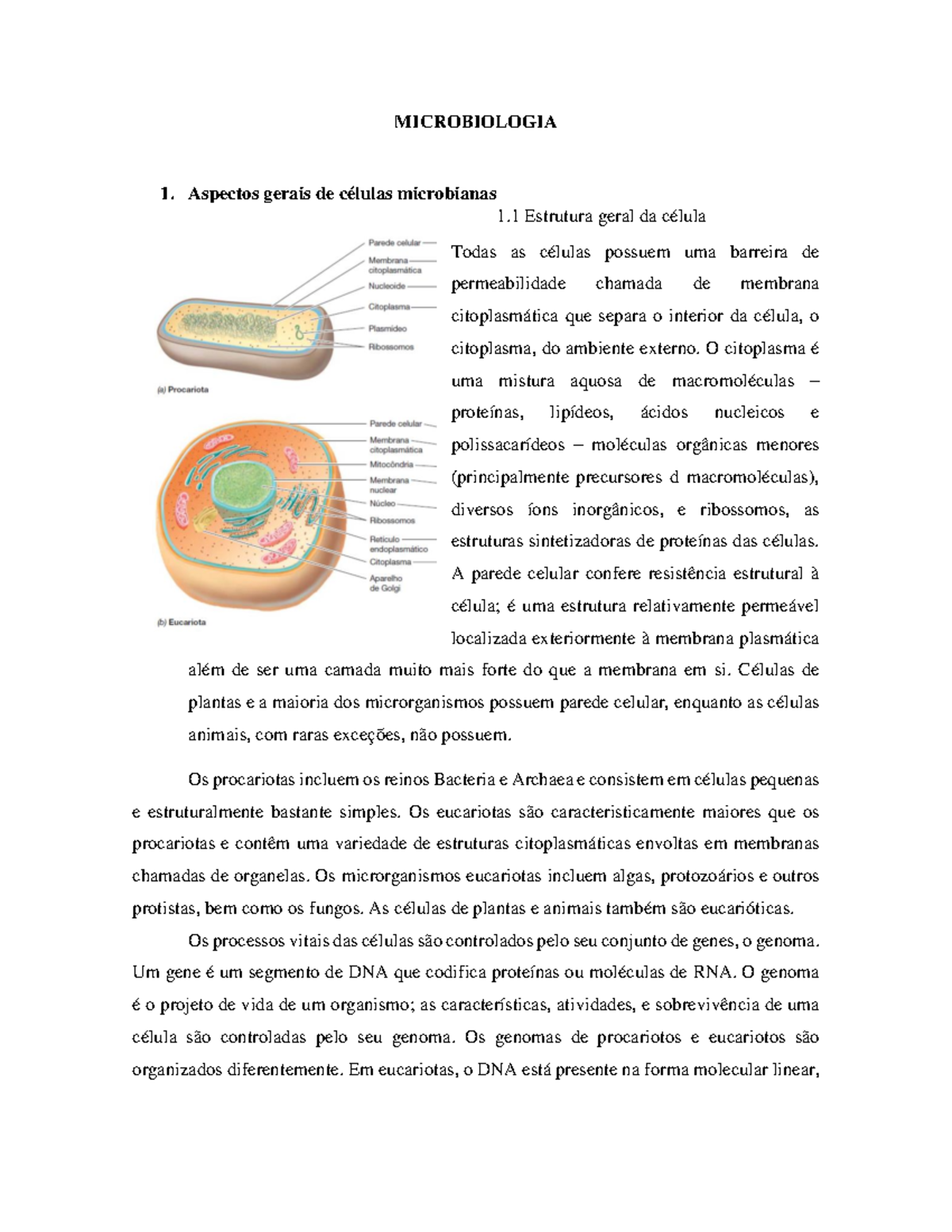 Microbiologia 1 - Resumo Brock Mikrobiologie - MICROBIOLOGIA Aspectos ...