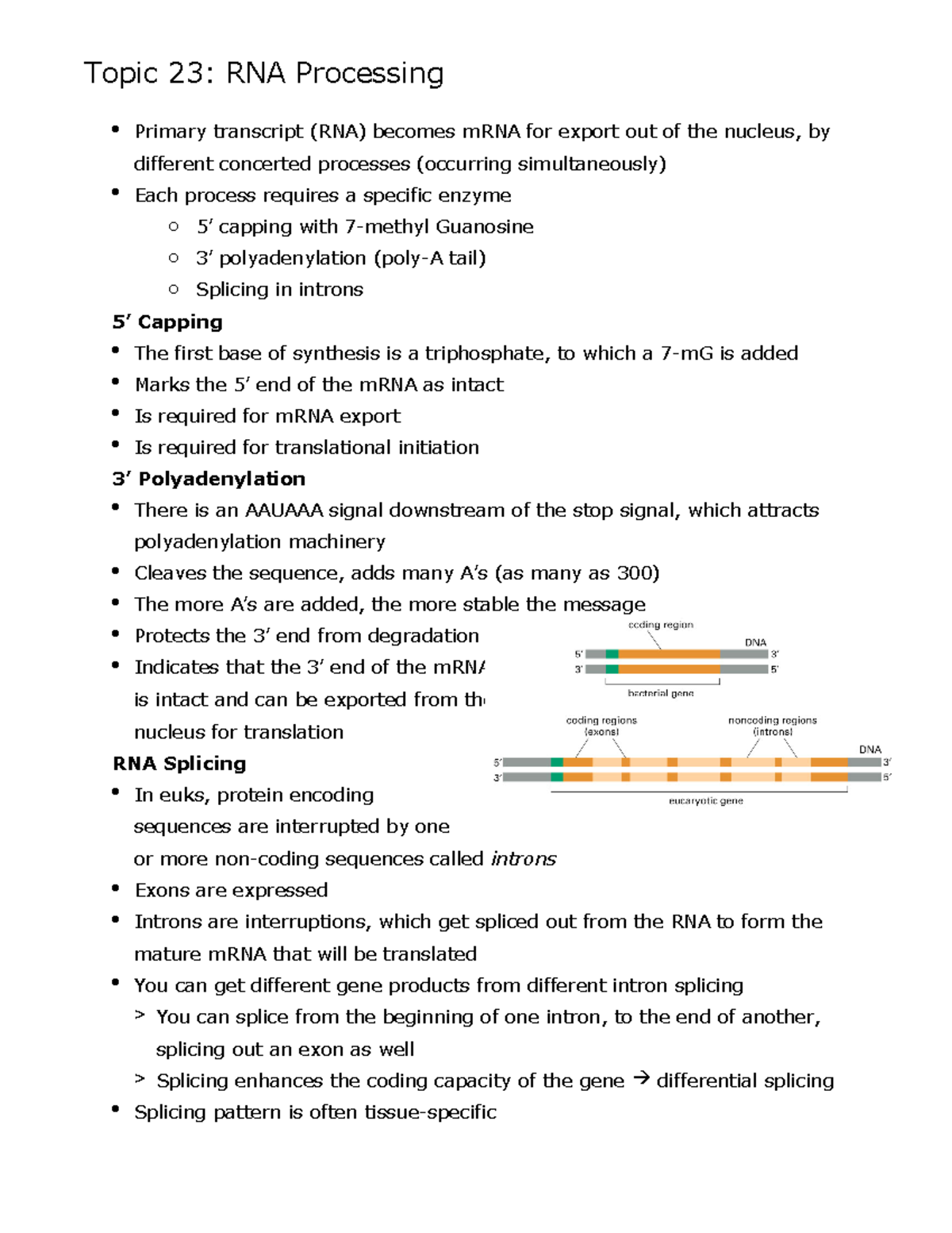 Topic 24 - RNA Processing - Topic 23: RNA Processing Primary transcript ...