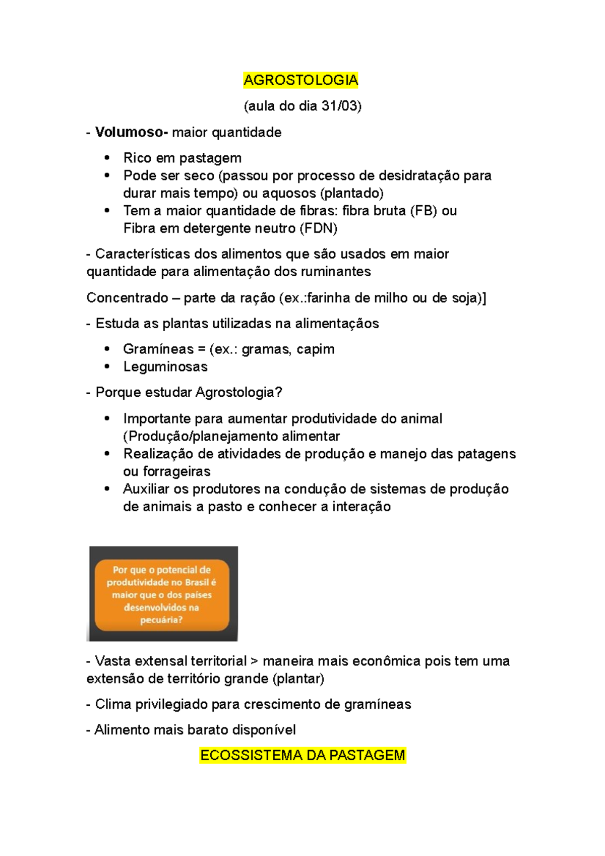 Agrostologia - resuminho de ruminantes - AGROSTOLOGIA (aula do dia 31/ ...