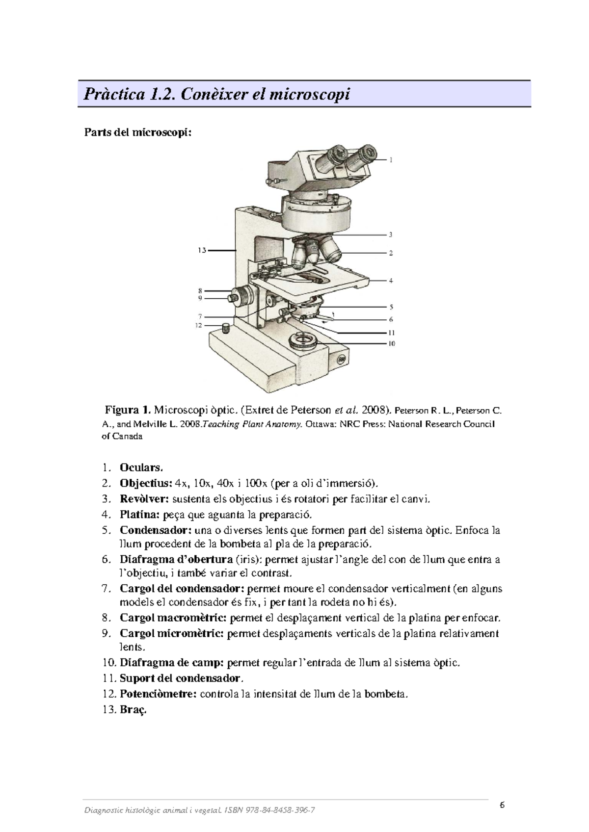 coneix el microscopi - Pràctica 1. Conèixer el microscopi Parts del ...