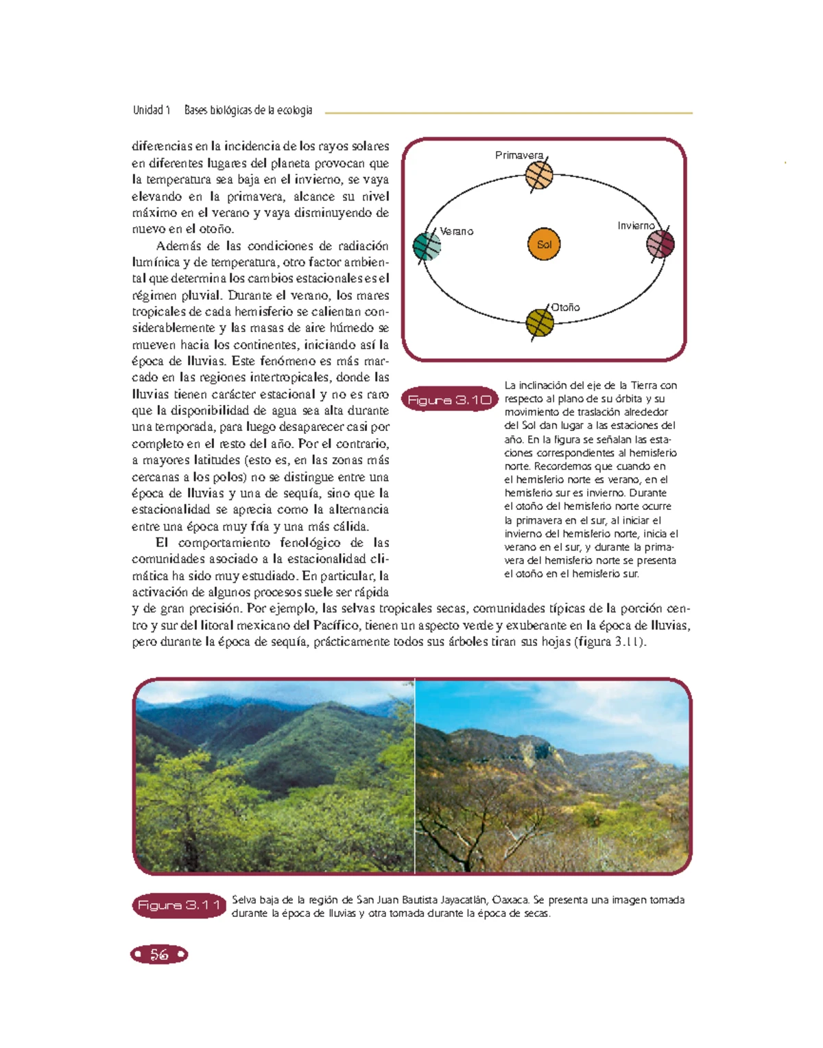 Ecologia Y Medio Ambiente-87 - Capítulo 4 Los ecosistemas y la biosfera ...