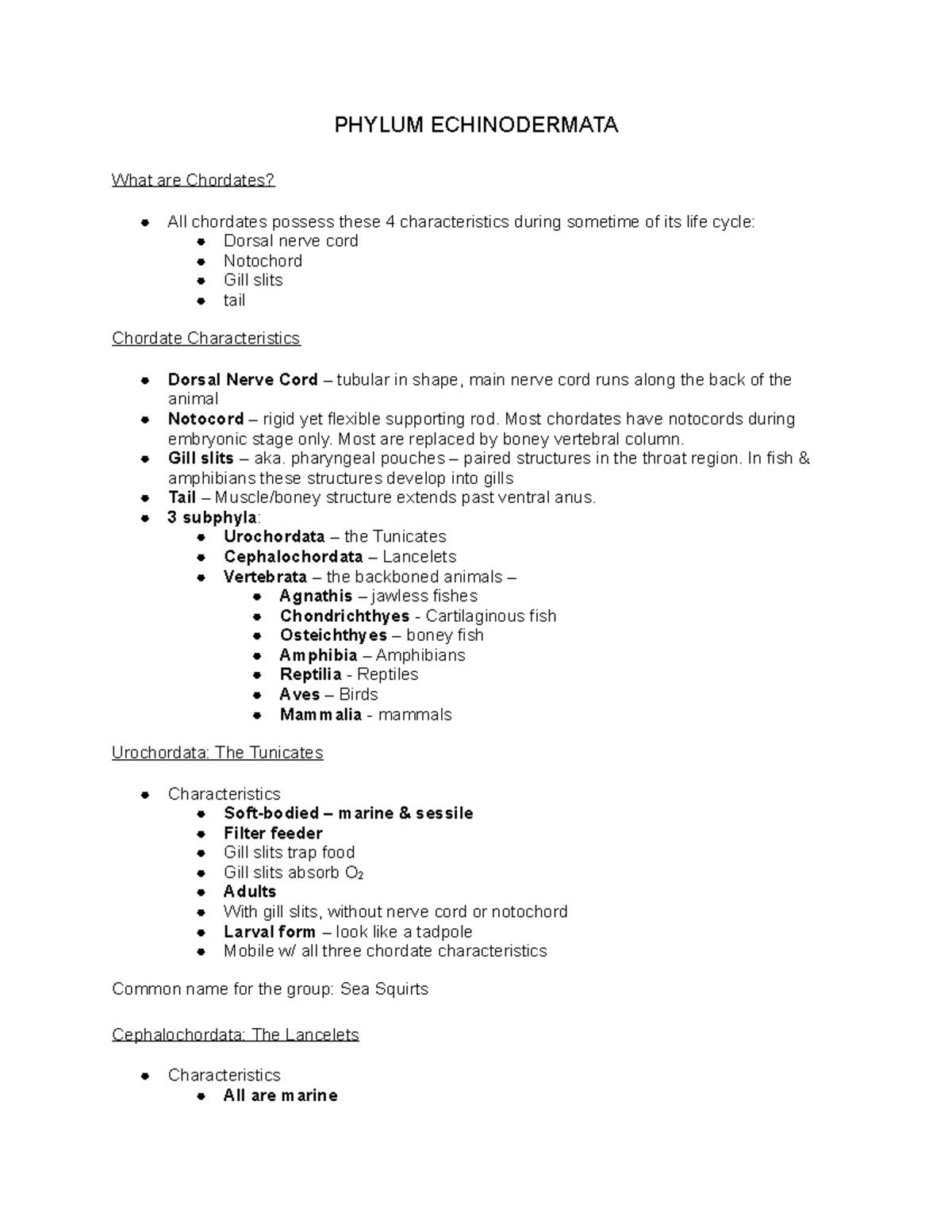 Life Science Notes 12 Part 1 Phylum Chordata - PHYLUM ECHINODERMATA ...