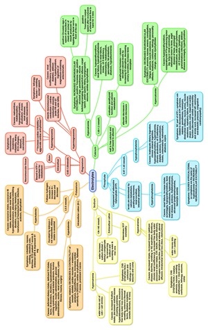 Functional Transfer User Guide - Functional Transfer Record (FTR) User ...