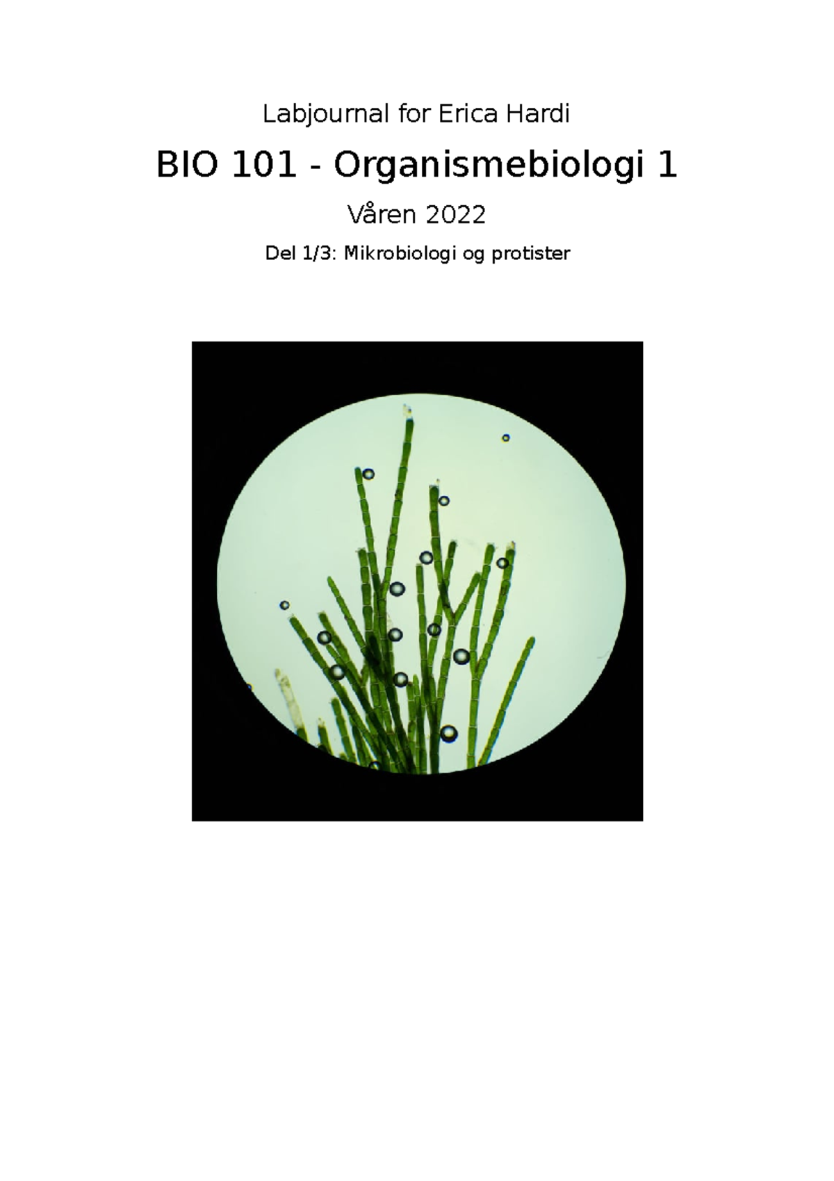 Labjournal Mikrobiologi - Labjournal for Erica Hardi BIO 101 ...