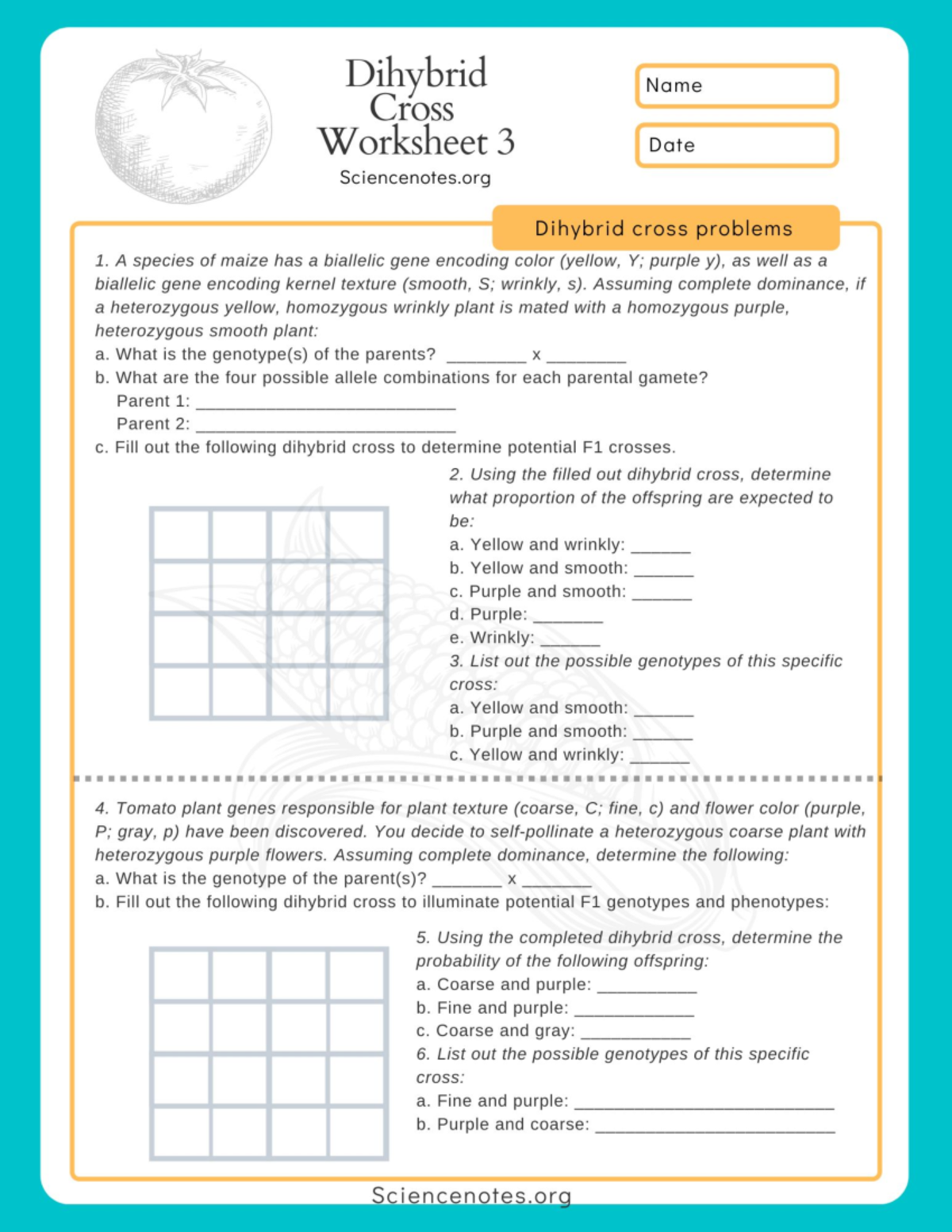 Dihybrid-Cross-3 - genetics - Dihybrid Name Cross Worksheet 3 Date ...