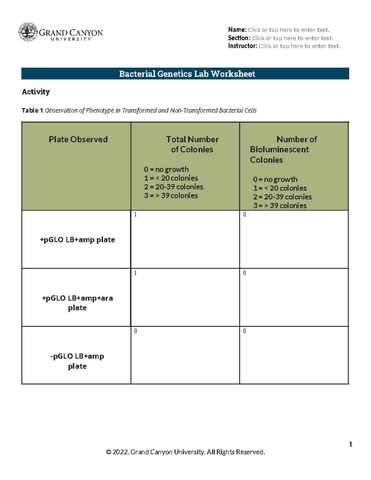 BIO-205L-RS-T4.Lab6Bacterial Genetics WS- Onground- Acconground ...