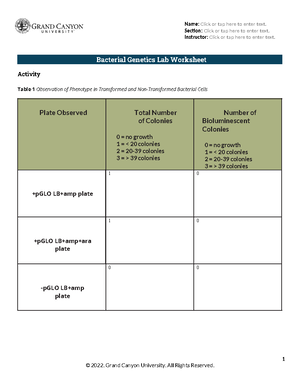 BIO-205L LAB 11 Worksheet - Section: Click or tap here to enter text ...