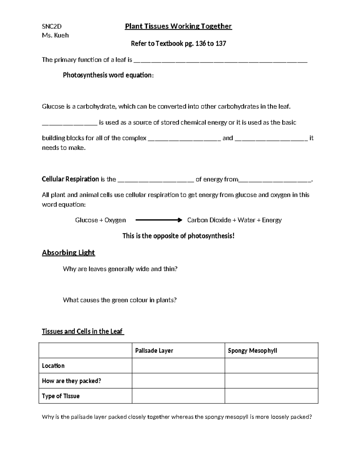 Lesson 18 plant tissues working together - SNC2D Plant Tissues Working ...