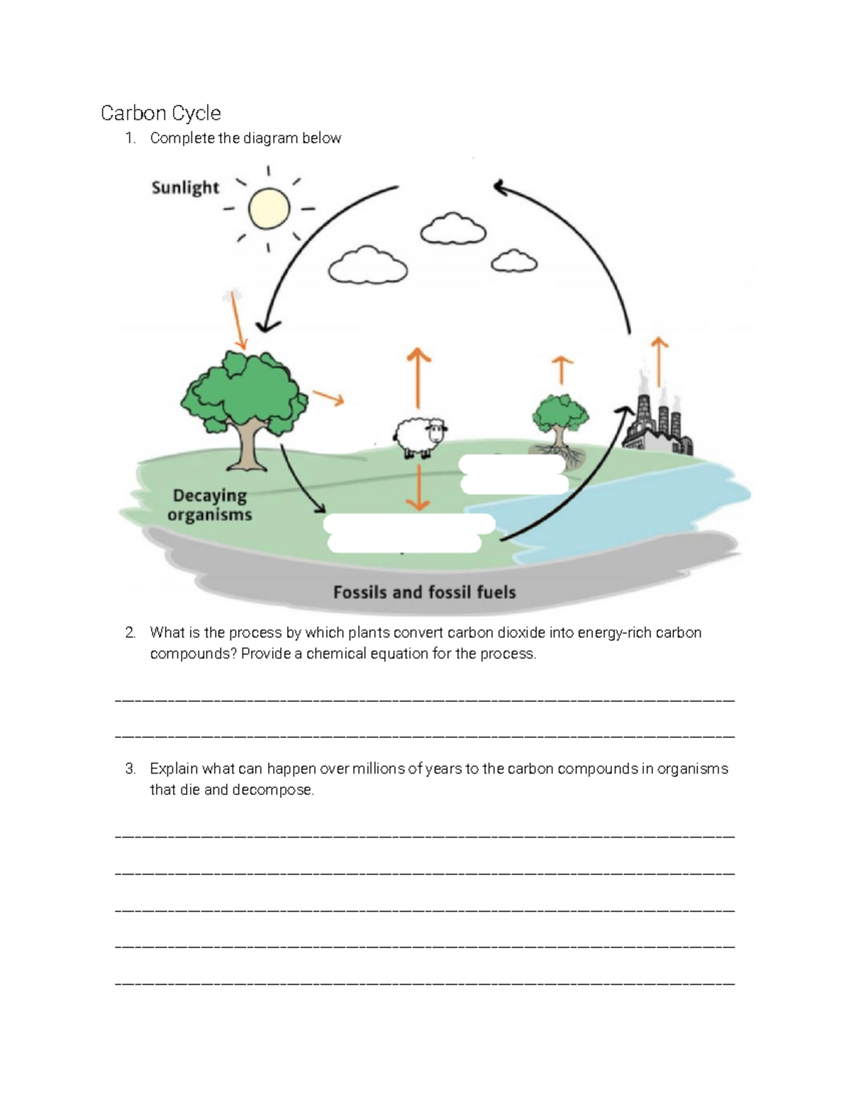 Carbon and nitrogen cycle - Carbon Cycle Complete the diagram below ...