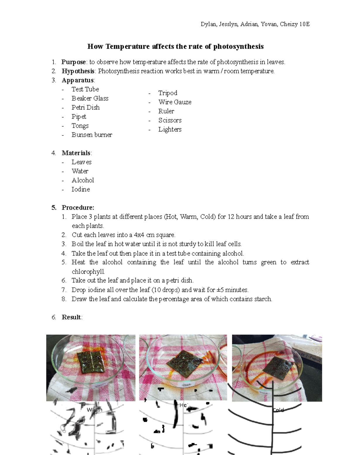 How Temperature affects the rate of photosynthesis (Experiment) - Dylan ...