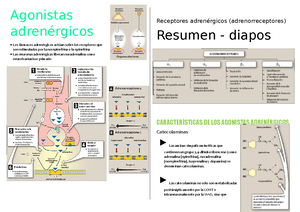 Clase-aines-2017 - AINES - A NALGÉSICOS ANTIINFLAMATORIOS NO ...