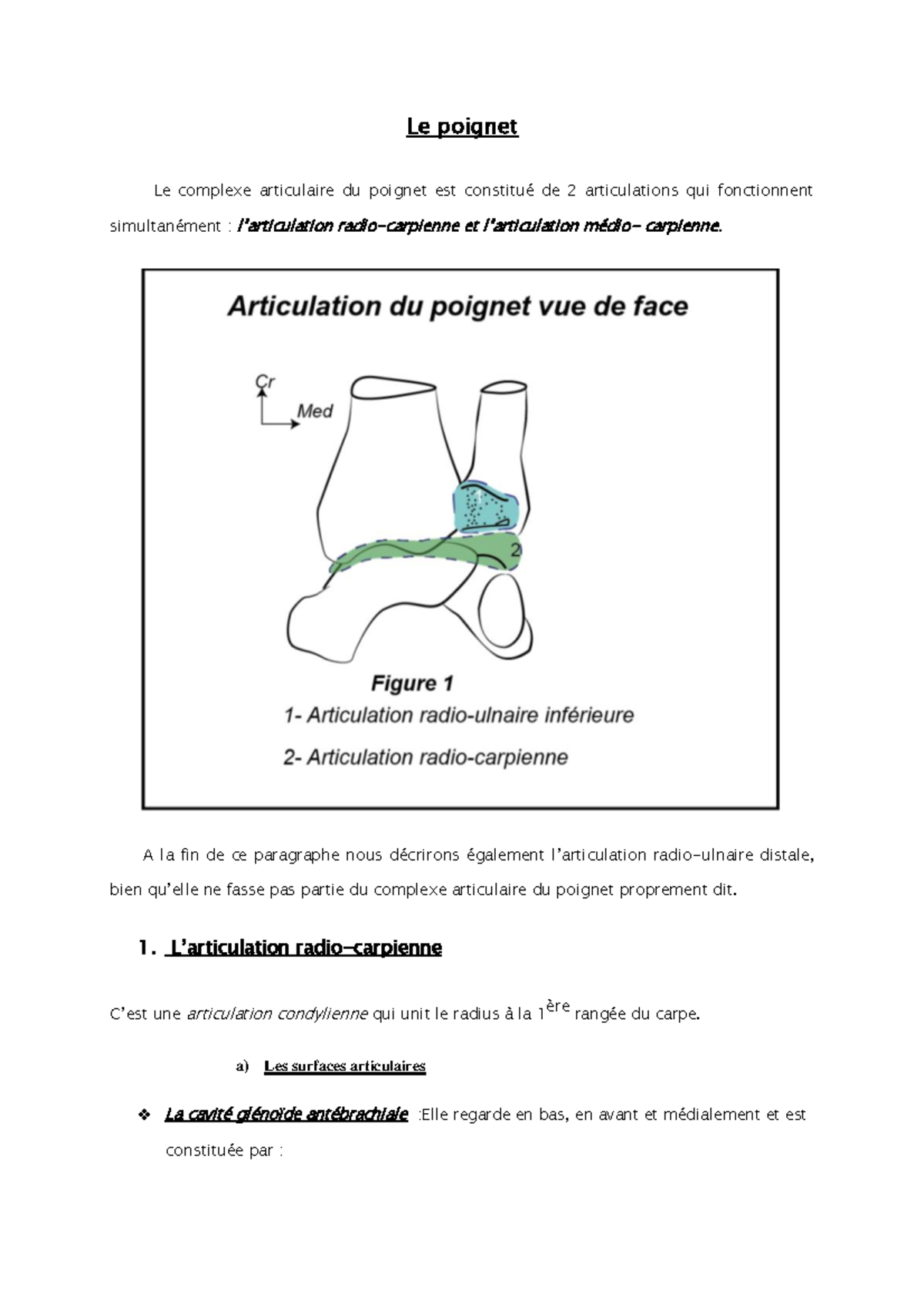 Anatomie du poignet partie 2 - Le poignet Le complexe articulaire du ...