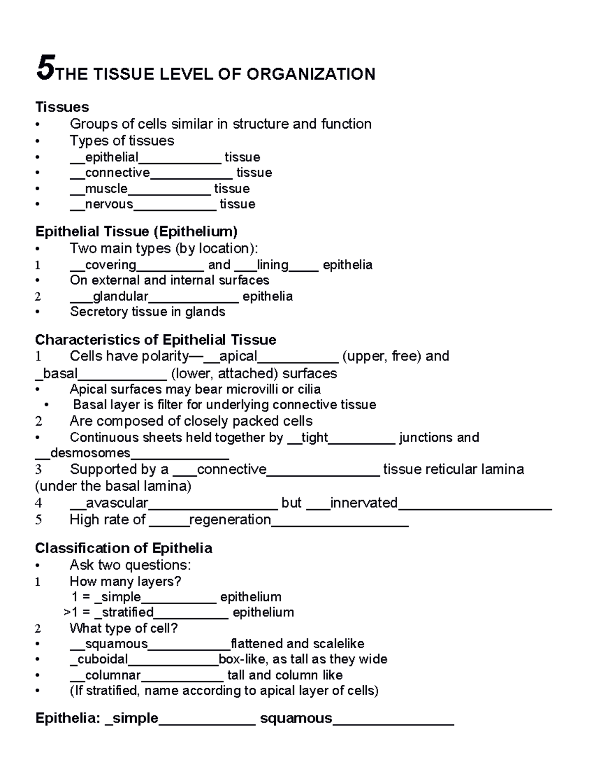 Chapter 5 Notes Fill In - need help - 5 THE TISSUE LEVEL OF ...