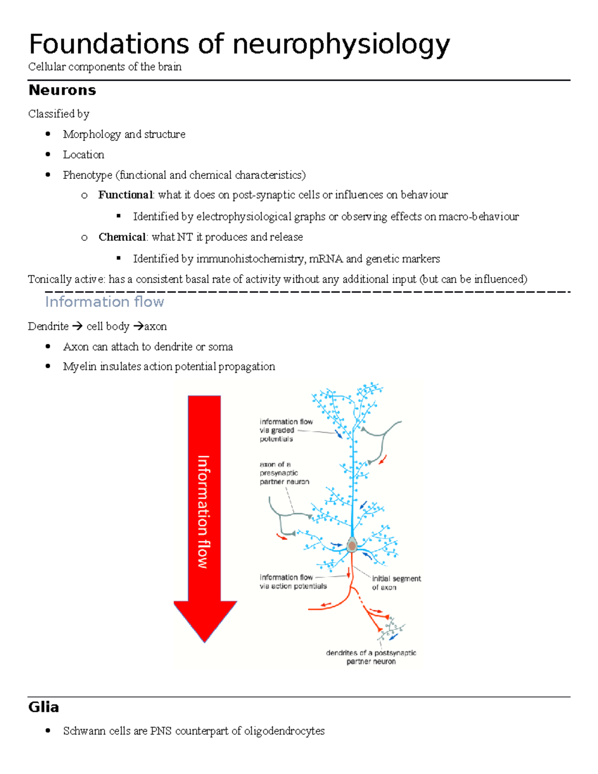 1. Foundations of neurophys - Foundations of neurophysiology Cellular ...