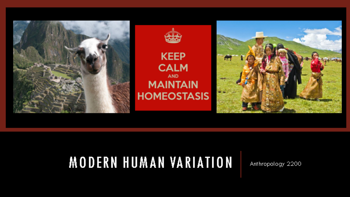 9 Modern Human Variation - MODERN HUMAN VARIATION Anthropology GOALS ...
