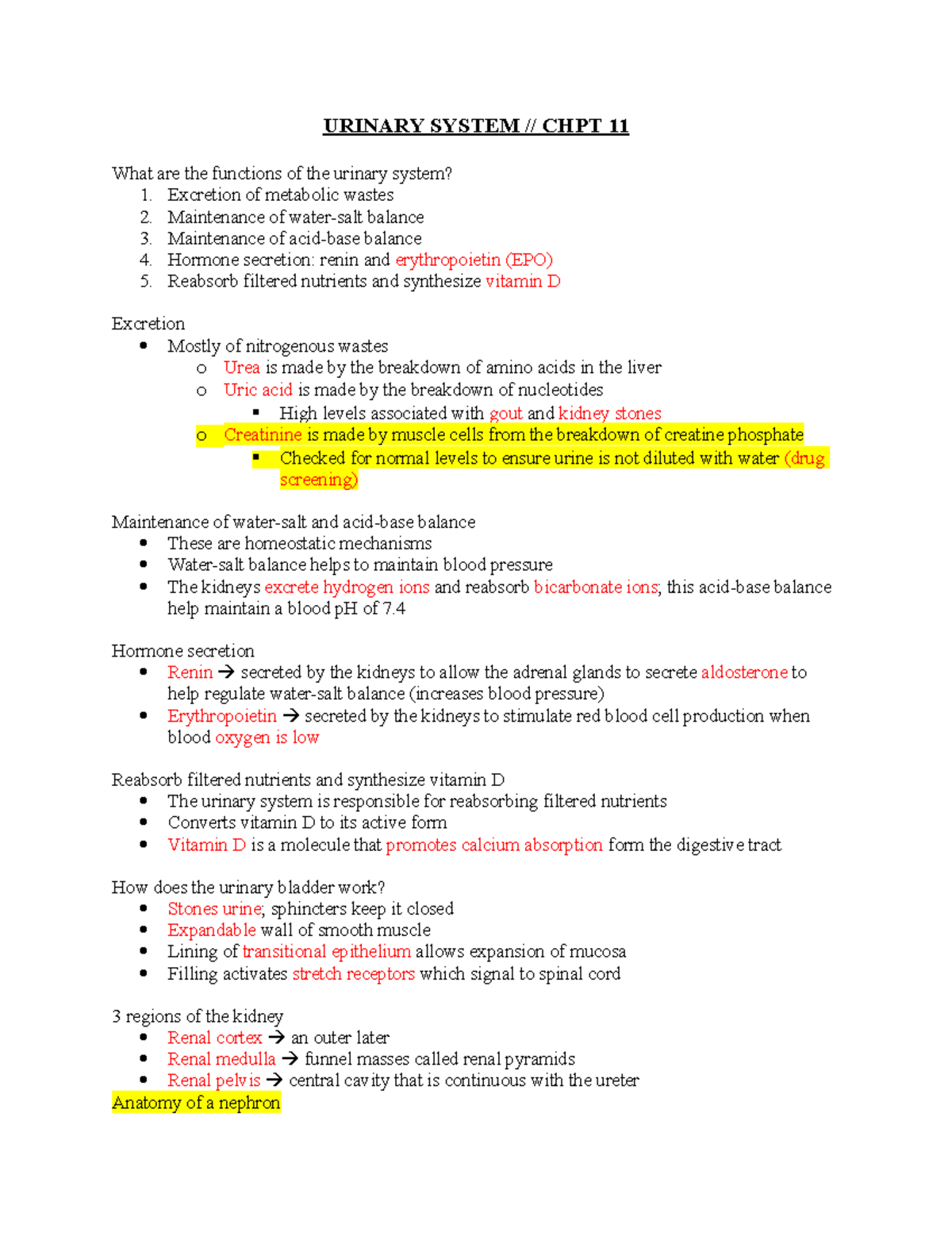 Urinary System - Lecture notes 11 - URINARY SYSTEM // CHPT 11 What are ...