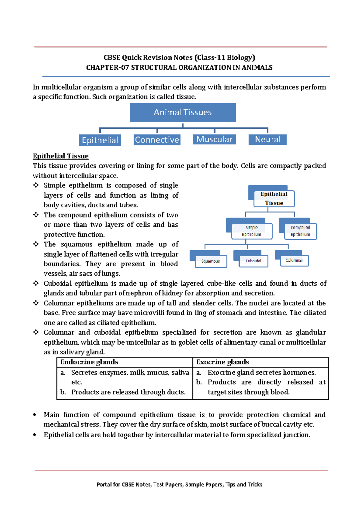 11 biology notes ch07 structural organisation in animals - CBSE Quick ...
