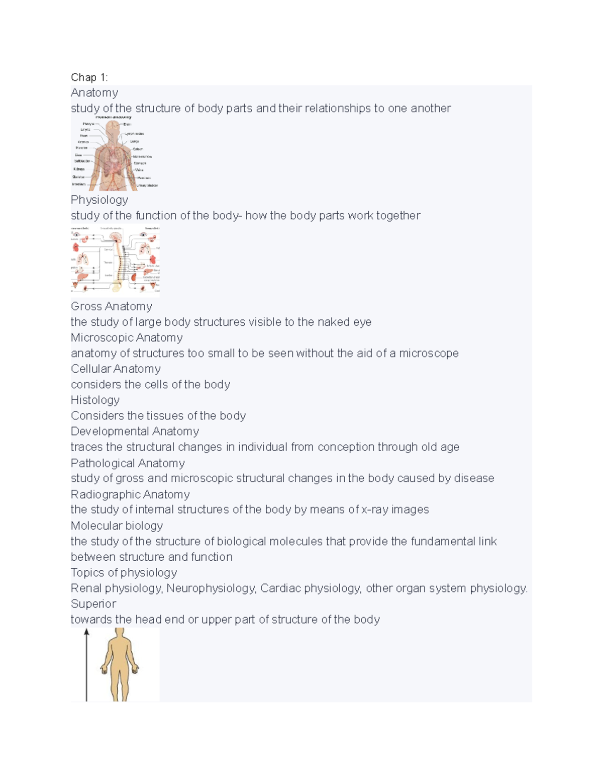 Anatomy and physiology terms - Chap 1: Anatomy study of the structure ...