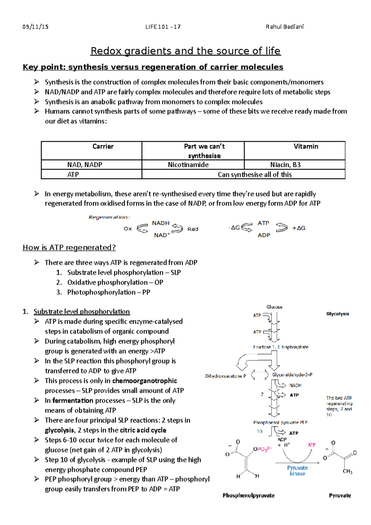 17 - Redox gradients and the source of life - Redox gradients and the ...