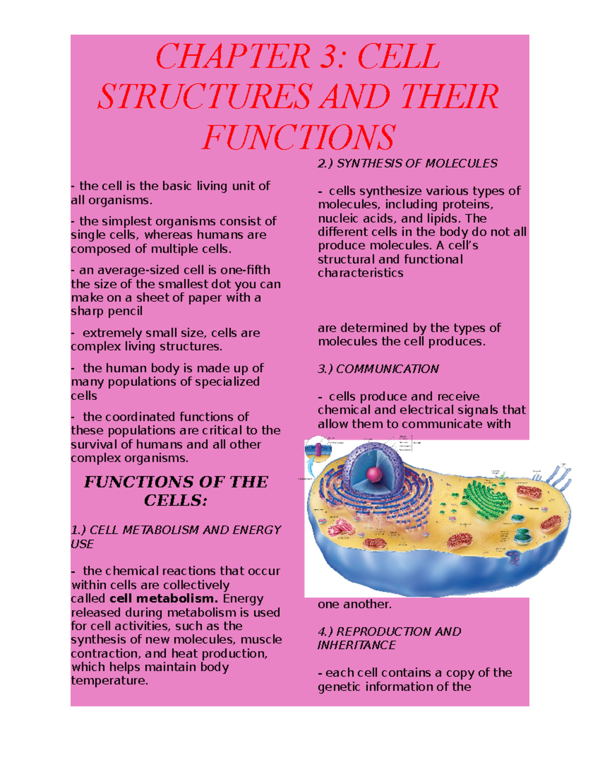 Notes-3 LESSON NOTES - STRUCTURES AND THEIR FUNCTIONS the cell is the ...