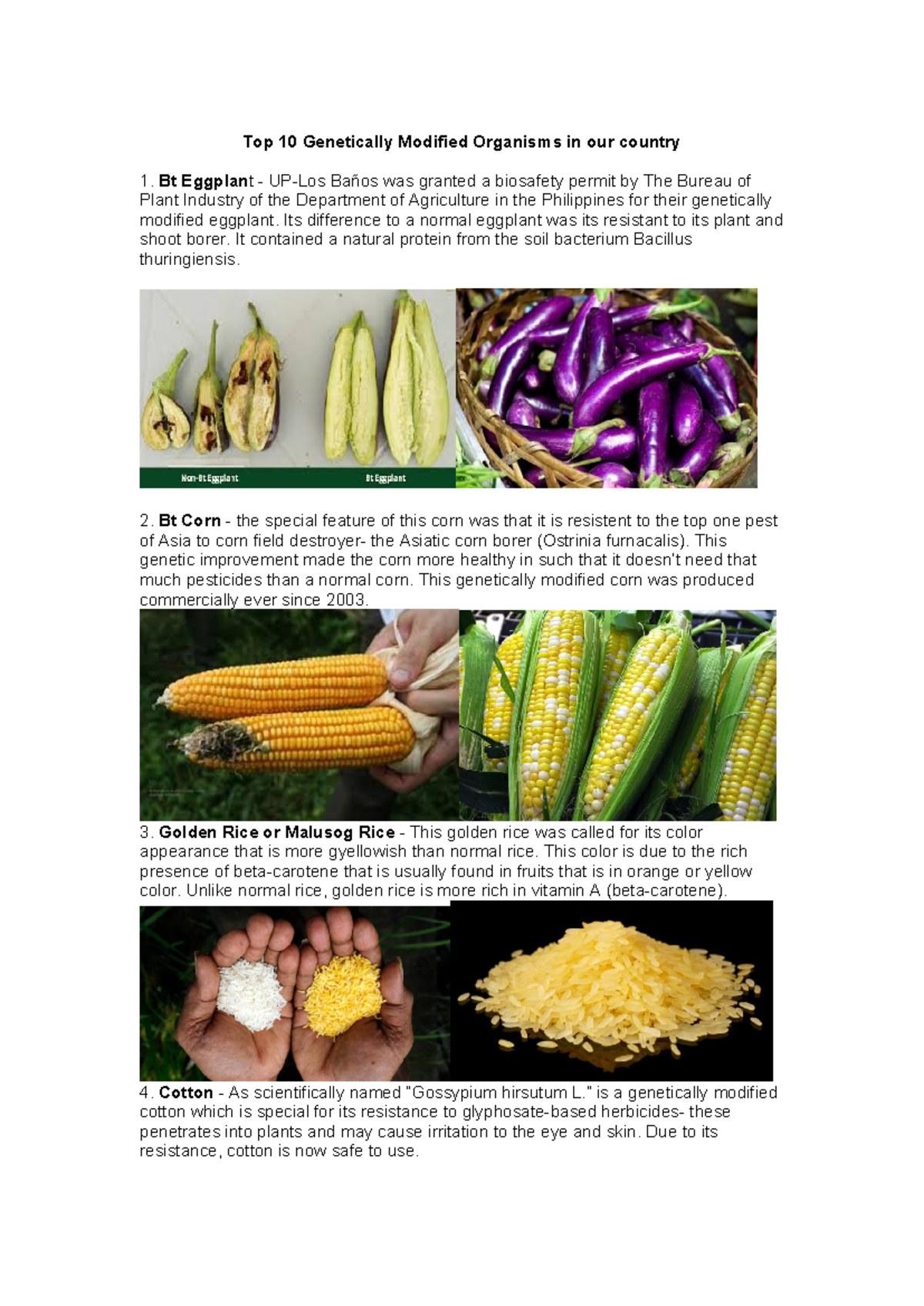 10 GMOs In PH - Top 10 Genetically Modified Organisms in our country Bt Eggplant - UP-Los Baños ...