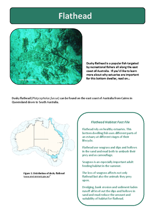 Timber Folio Final product - Year 12 Industrial Technology Timber and ...