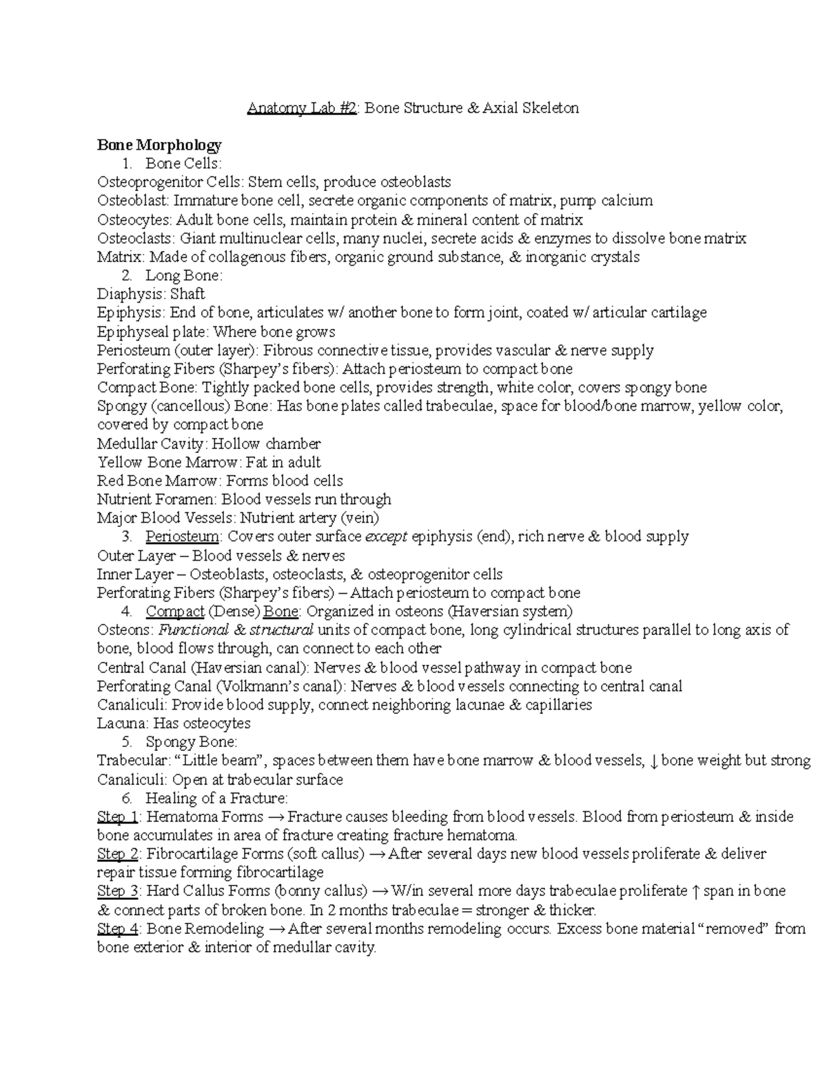 PHSC2302 Anatomy Lab #2 Bone Structure & Axial Skeleton - Anatomy Lab ...
